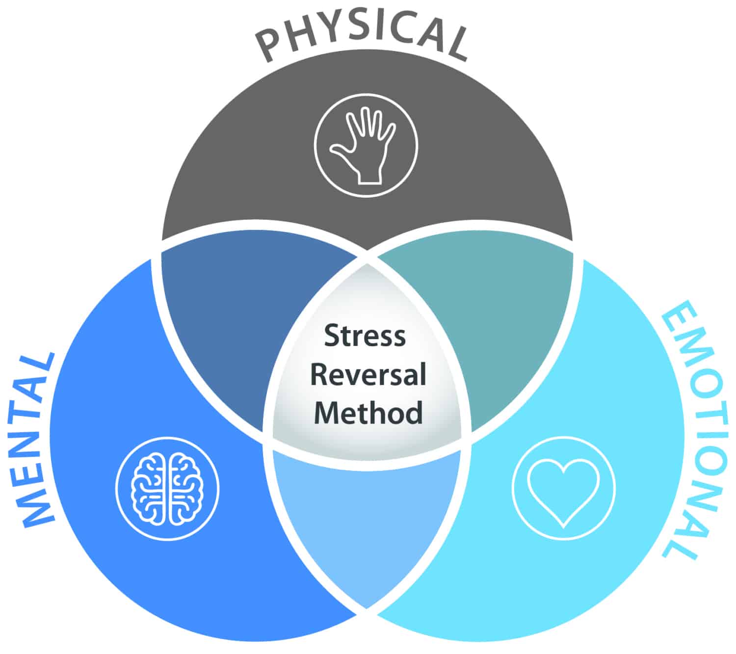Reduce Stress and Prevent Burnout with the Rewired Programme